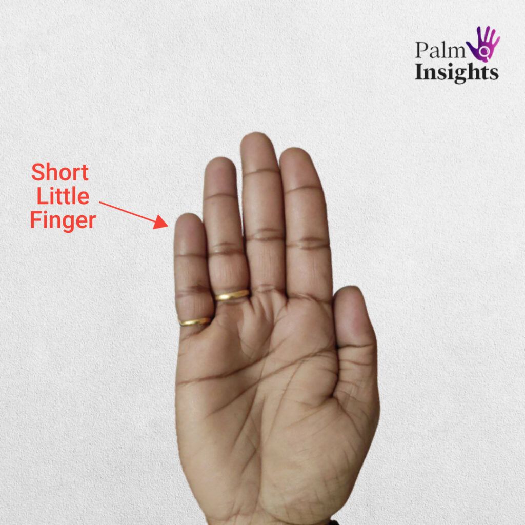 Little Finger | Palm Insights
