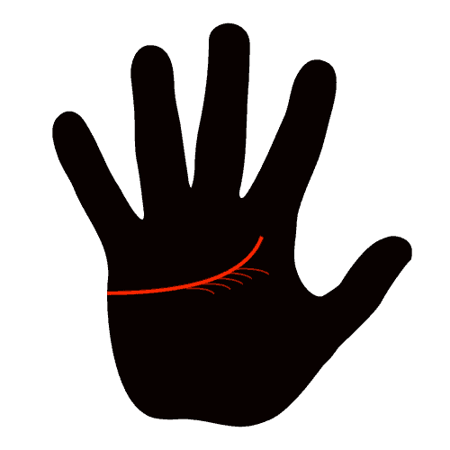 Heart Line In Palmistry: 5 Things It Can Reveal About Your Love Life