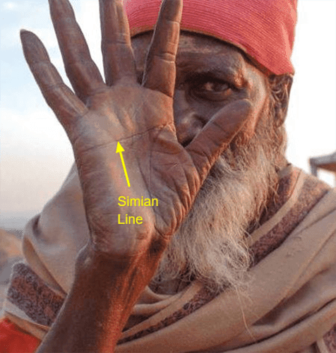 Heart Line In Palmistry: 5 Things It Can Reveal About Your Love Life
