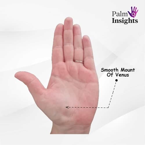 Mount Of Venus In Palmistry: A Quick And Easy Guide!