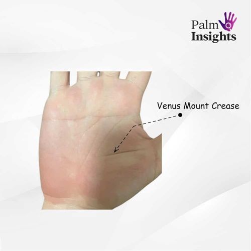Mount Of Venus In Palmistry: A Quick And Easy Guide!