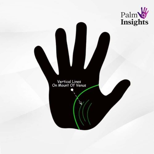Mount Of Venus In Palmistry: A Quick And Easy Guide!