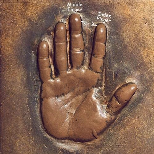 Gap Between Fingers: A Quick And Easy Guide To Understand Their ...