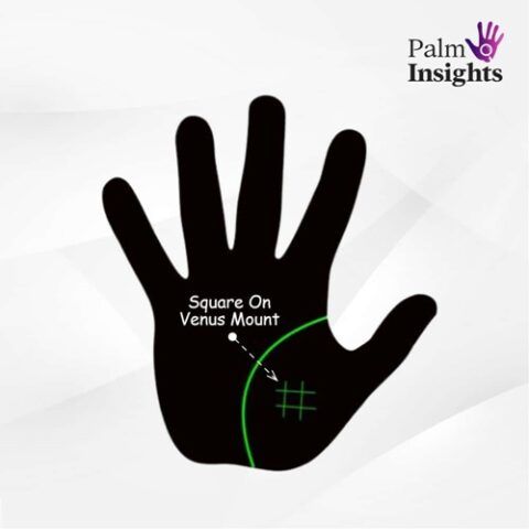 Mount Of Venus In Palmistry: A Quick And Easy Guide!